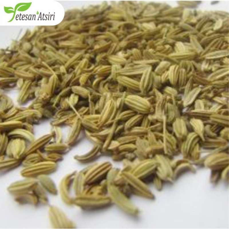 Promo 250ml Minyak Atsiri Adas Murni Fennel Pure Essential Oil Diskon ...