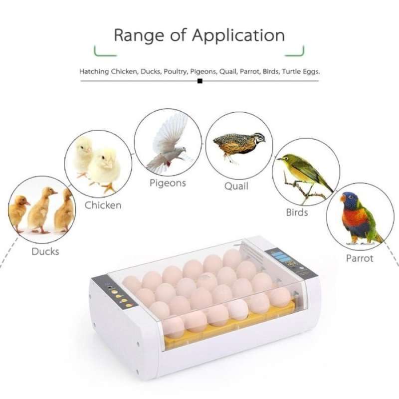 Promo Incubator Telur Hhd Ew9-24s Fully Automatic Control 24 Egg ...