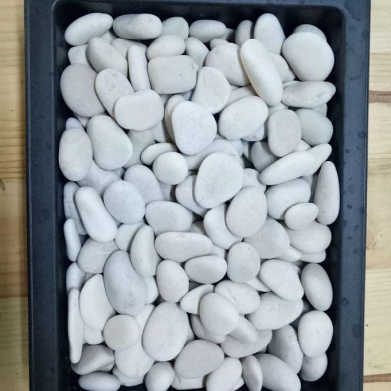Jual Batu Putih Kupang 10 Kg (batu Alam Koral Sikat Kacang Hias Taman) - Pk2 Di Seller Winter ...