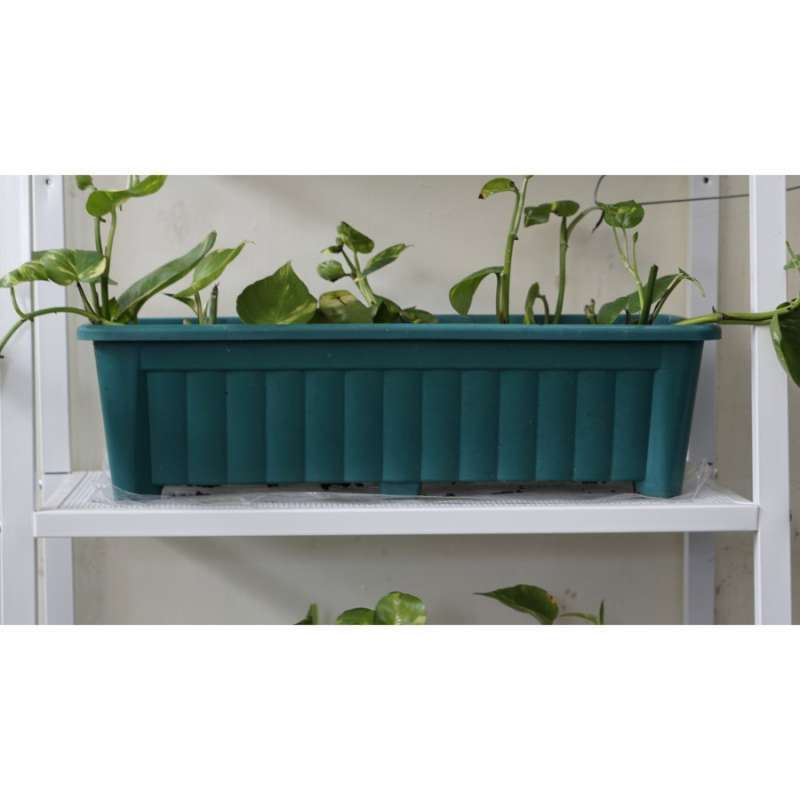 Jual 12 Pcs / 1 Lusin Pot Bunga Tanaman Kembang Segi Panjang 55 Bata ...