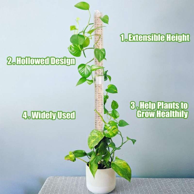 Jual Plastic Moss Pole Plant Stakes Training Indoor Climbing Plants ...
