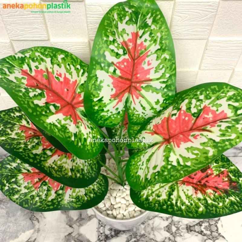 Promo Pohon Daun Bahagia X9 Merah Corak Semi Latex Artificial Pot ...