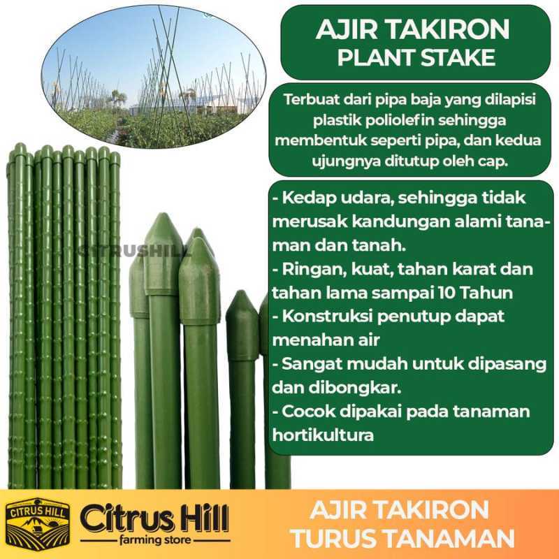 Jual Ajir Penyangga Tanaman Takiron -8mm X75,90,120cm - 11mm X150,180 ...