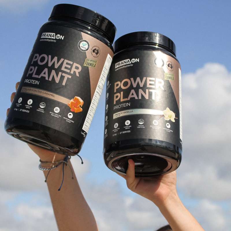 Jual Power Plant Vegan Protein 1.2kg - 1200g By Prana Lactose Gluten ...
