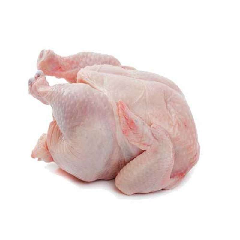 Jual Ayam Karkas Broiler / Ayam Utuh 500-1300gram Ayam Frozen Tanpa ... Jual Ayam Karkas Broiler / Ayam Utuh 500-1300gram Ayam Frozen Tanpa ...