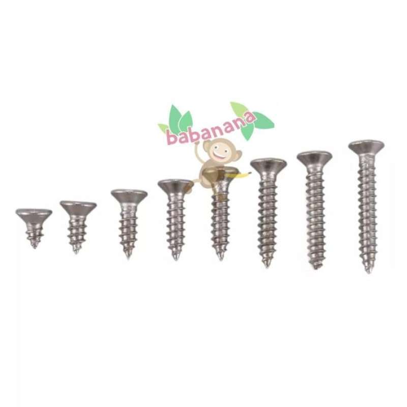 Jual 200pcs M3 Baut Kayu Kasar Wood Screw Nail Mur Perkakas Tapping Di ...