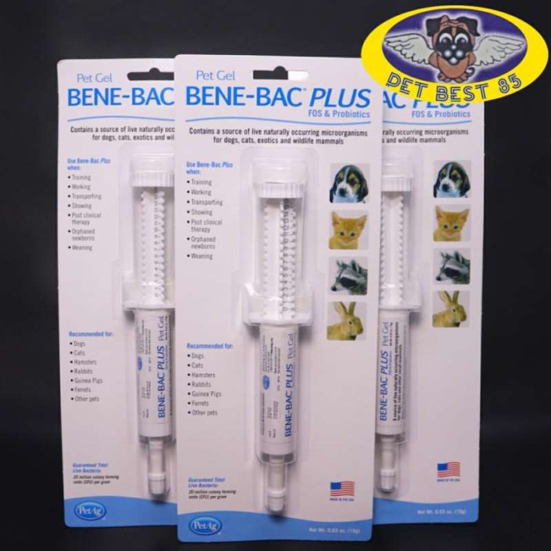 Jual Benebac Plus pet gel 15gr Suplement Probiotic Booster Newborn ...
