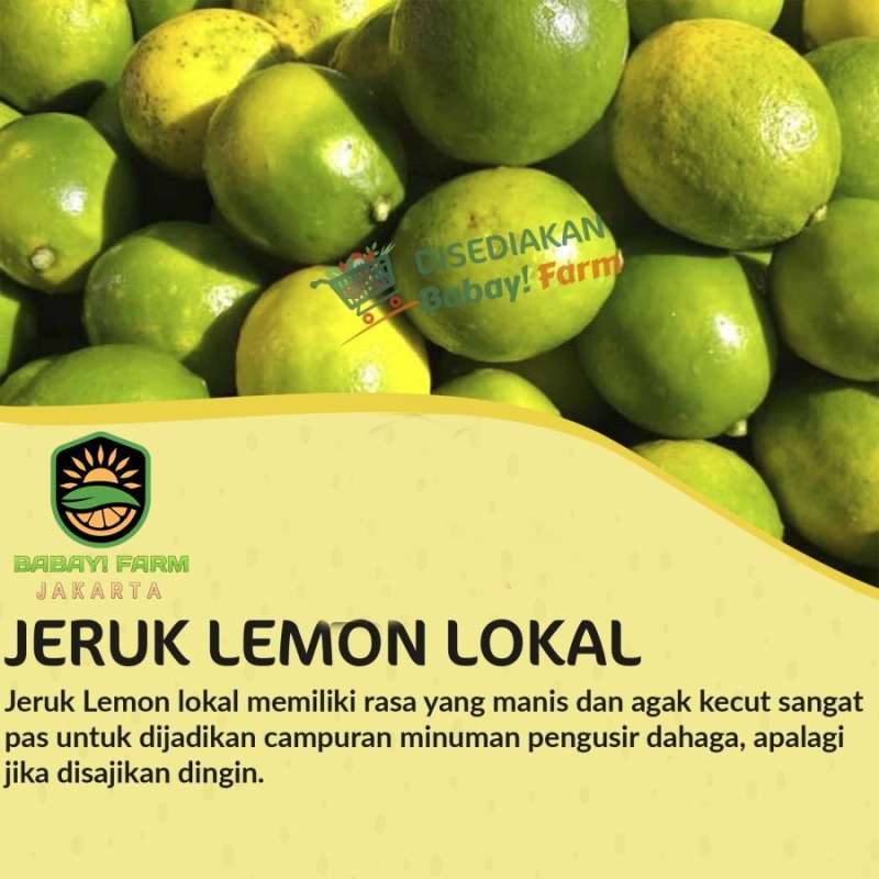 Lemon Segar 1 Kg Gratis Ongkir 🔥 Harga Murah April 2026
