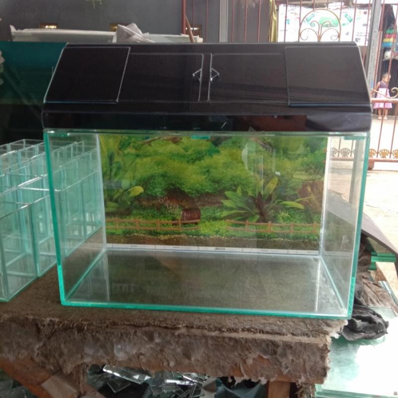 Promo Aquarium 50x25x30 Background Dan Tutup Diskon 23% Di Seller Tiny Petshop - Cilandak Timur ...
