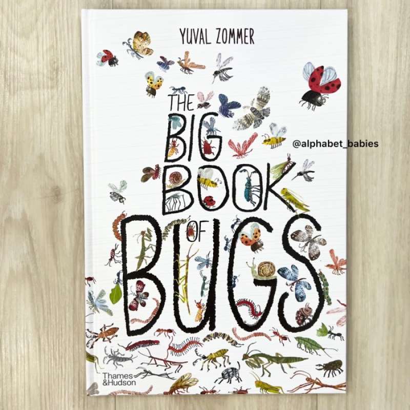 Jual The Big Book Of Bugs (the Big Book Series) Buku Edukasi Anak Di ...