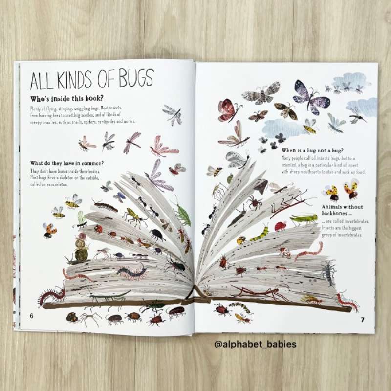 Jual The Big Book Of Bugs (the Big Book Series) Buku Edukasi Anak Di ...
