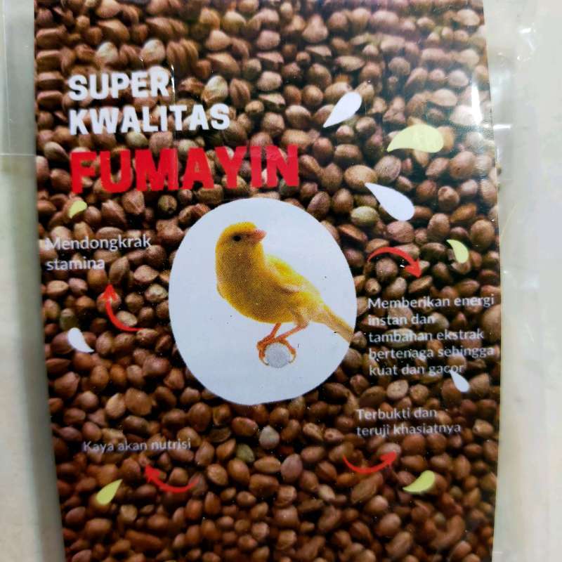 Jual Biji Fumayin Pakan Burung Penggacoran Terbaik Dan Terbukti Di ...
