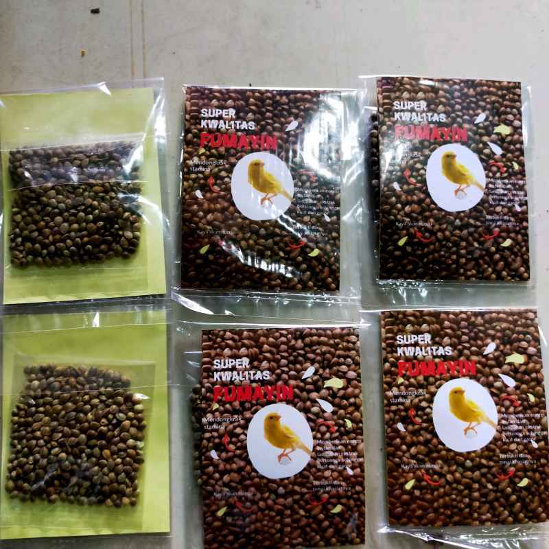 Jual Biji Fumayin Pakan Burung Penggacoran Terbaik Dan Terbukti Di ...