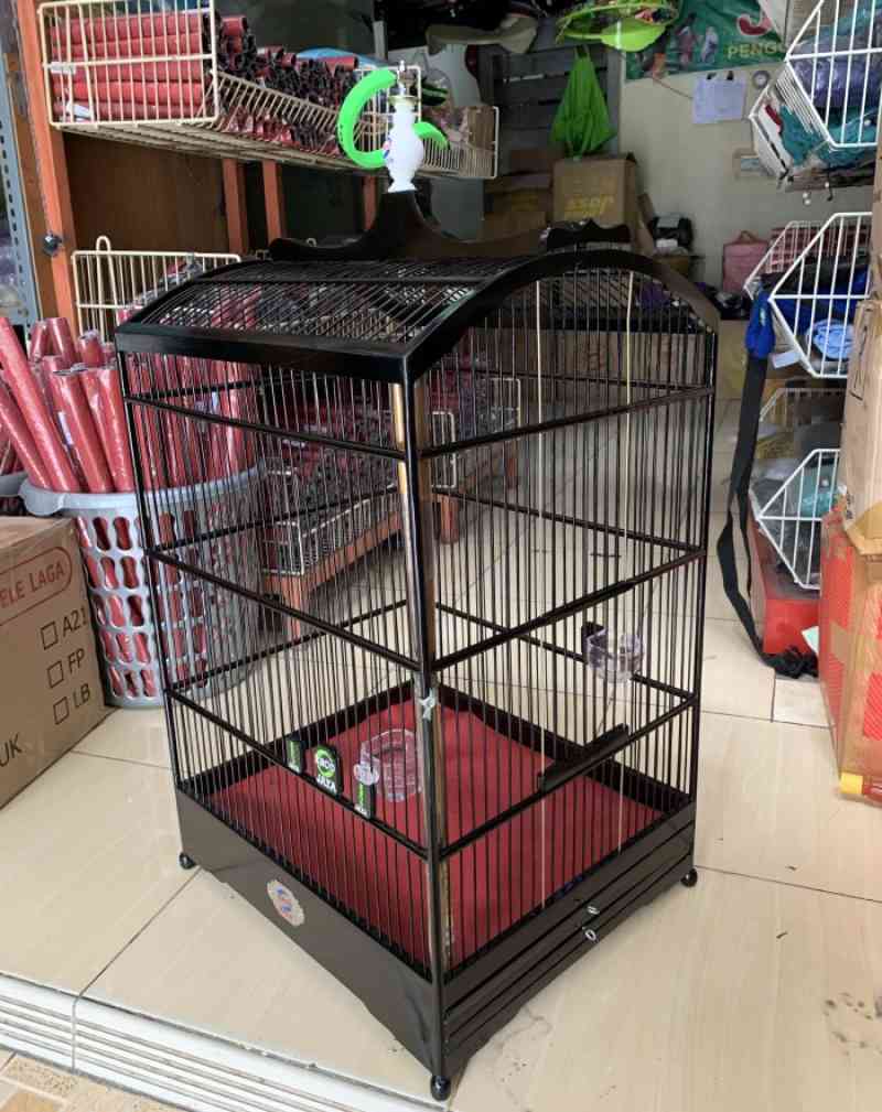 Promo Sangkar Kandang Burung Kacer Jalak Poksay Kotak Ebod Jaya Hitam No 2 Hitam 02 Diskon 33