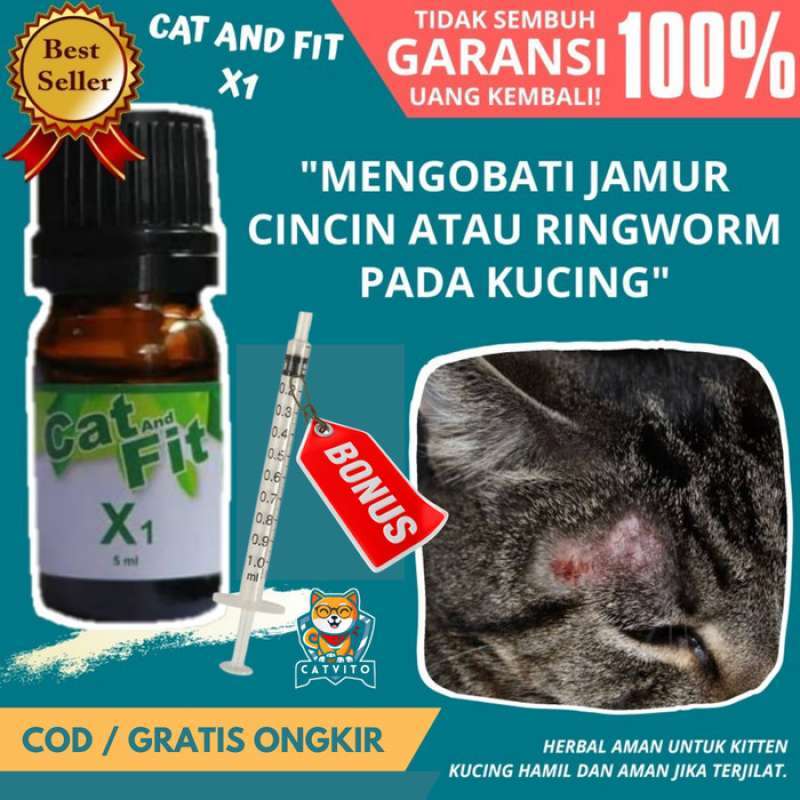 Promo Obat Jamur Pada Kucing CAT and FIT X1 Ultimate Diskon 23% di ...