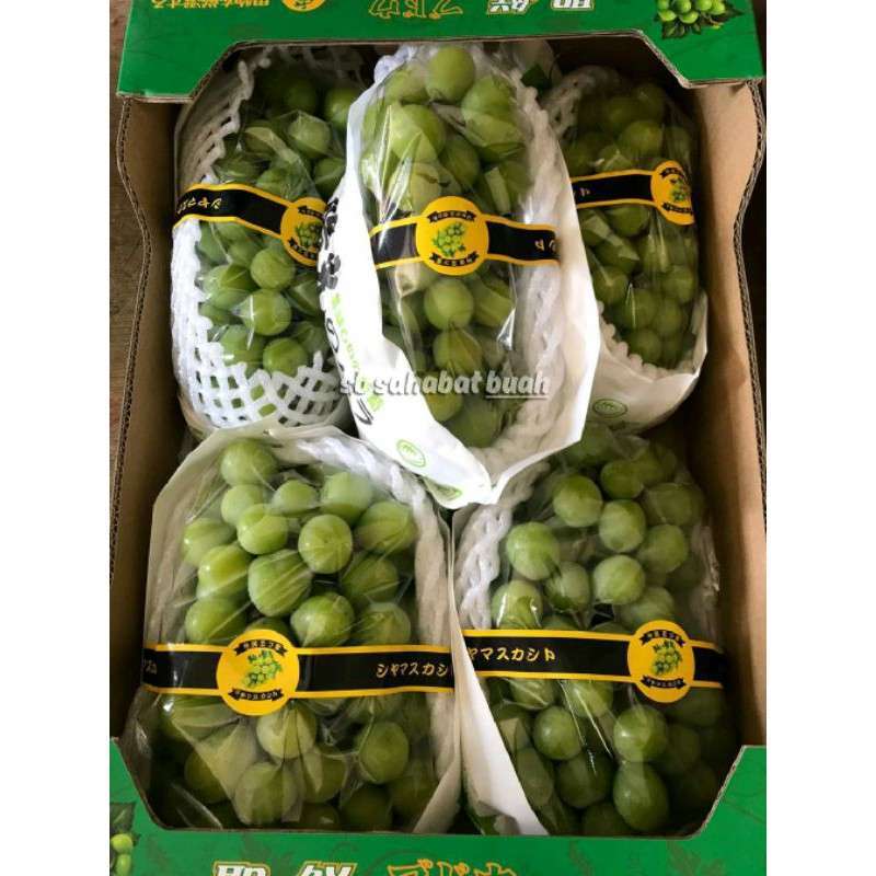 Jual Buah Anggur Hijau Shine Muscat Di Seller Sahabat Buah - Sahabat ...