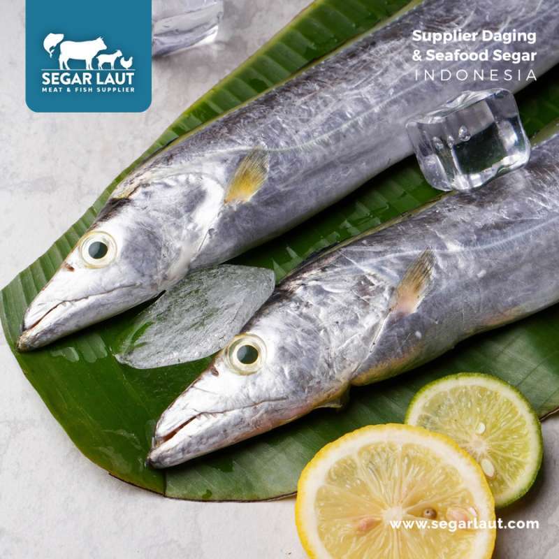 Jual Ikan Layur Frozen Termurah - Harga Grosir Terupdate Hari Ini | Blibli