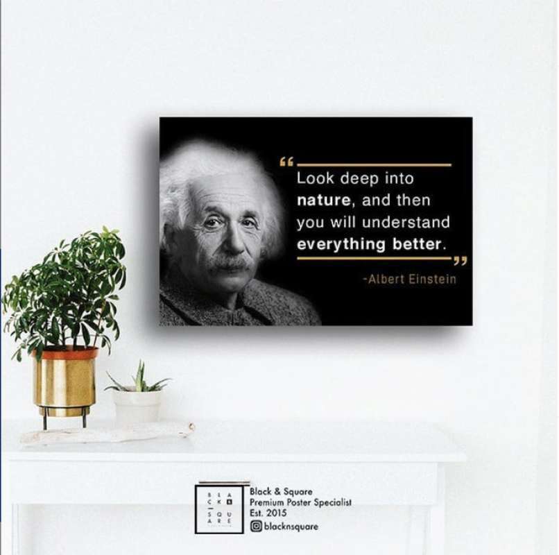 Promo Albert Einstein Quotes - Poster + Borderless Frame - 60x40cm ...
