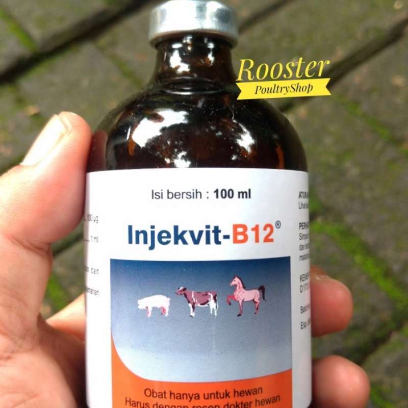 Jual Vitamin B12 Injeksi Termurah - Harga Grosir Terupdate Hari Ini ...