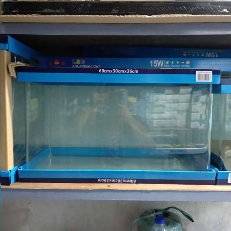Promo Icube Aquarium Kandila Panjang 60cm Kaca Bending Diskon 23% Di Seller Laraji Store ...