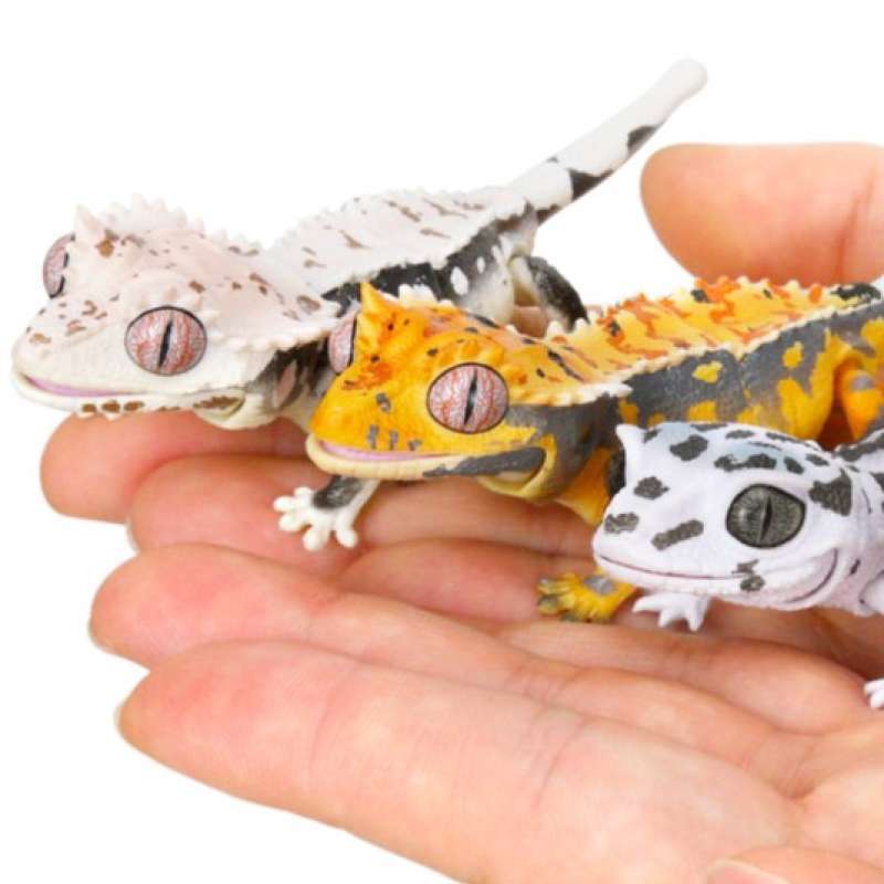 Promo READY IKIMONO MINI REPTI CRESTED GECKO GACHA GASHAPON - TOCKO99 ...