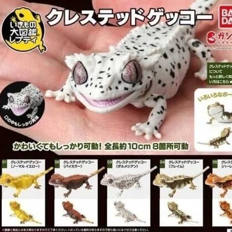 Promo READY IKIMONO MINI REPTI CRESTED GECKO GACHA GASHAPON - TOCKO99 ...
