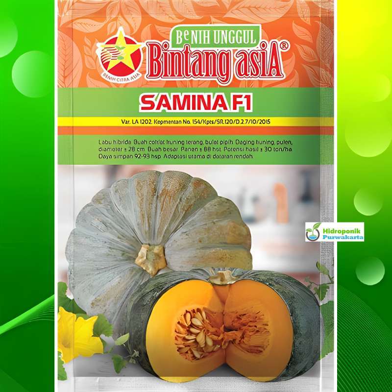 Jual Benih Labu SAMINA F1 10 Gram Cap Bintang Asia PT Benih Citra Asia ...