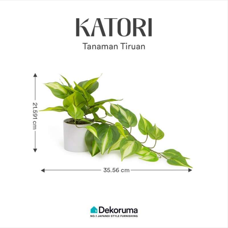 Jual Dekoruma KATORI Tanaman Tiruan Scrindapus dalam Pot Putih di ...