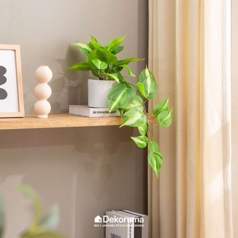 Jual Dekoruma KATORI Tanaman Tiruan Scrindapus dalam Pot Putih di ...
