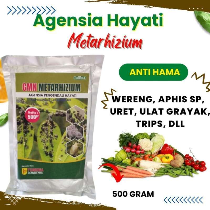 Promo Agens Hayati Metarhizium Anisopliae, Metarizum Pengendali Uret ...