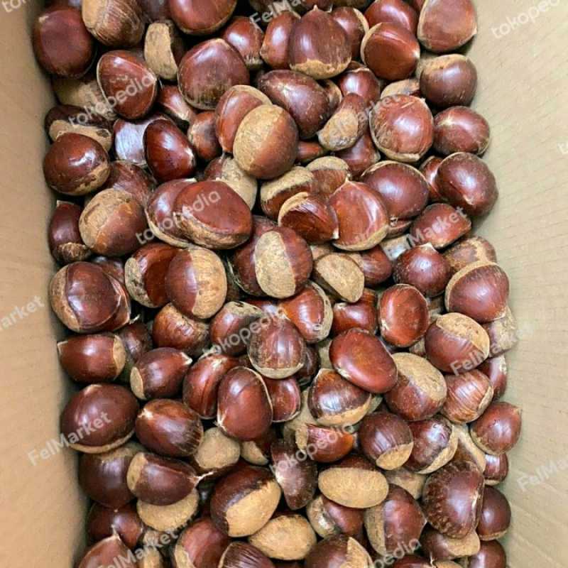 Promo Kacang Chesnut Korea | 1 Kg Diskon 38% Di Seller Rizky Putra Shop ...