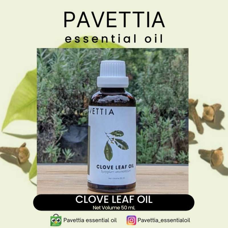 Jual 50 Ml - Minyak Atsiri Daun Cengkeh / Clove Leaf Essential Oil Di Seller Pavettia Essential ...