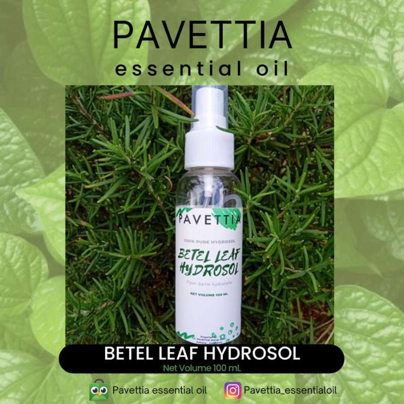 Jual Sampel 100 Ml - Betel Leaf Hydrosol - Hidrosol Daun Sirih Di Seller Pavettia Essential Oil ...