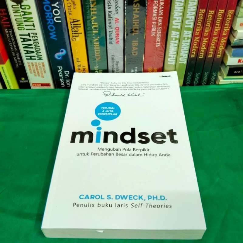 Promo Buku Mindset Cara Orang Melihat Dunia & Kesuksesan Di Berbagai ...