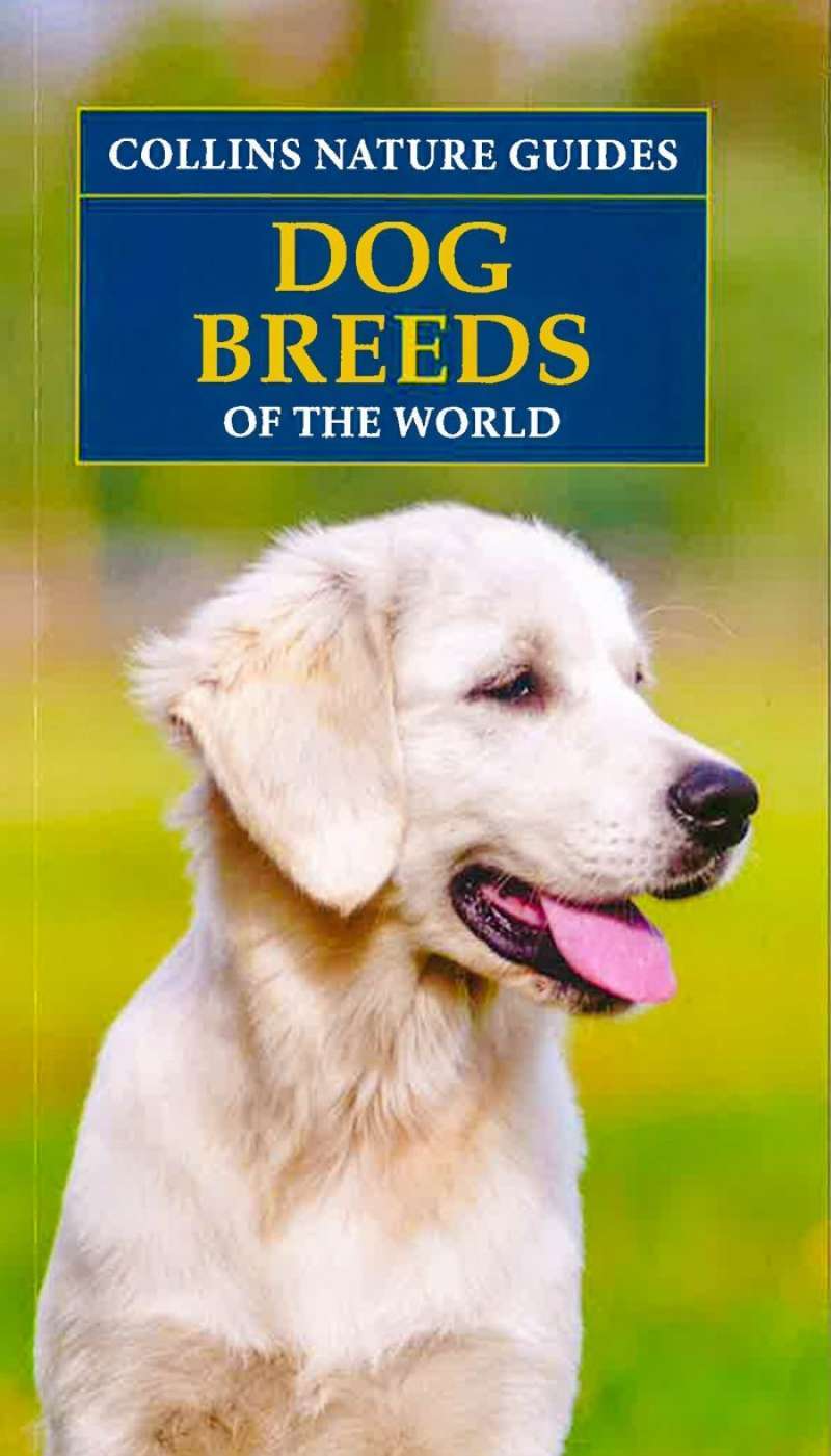 Promo Collins Nature Guide Dog Breeds Diskon 21% Di Seller Huka Shop ...