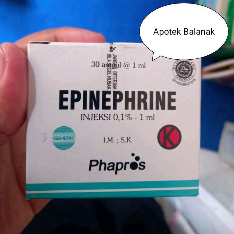 Epinephrine Injection Lengkap Harga Terbaru Juni 2024 | Blibli