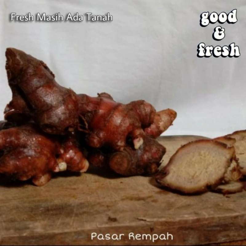 Jual Jahe Merah 1 Kg / Jahe Merah Medan Segar Di Seller Pasar Rempah ...