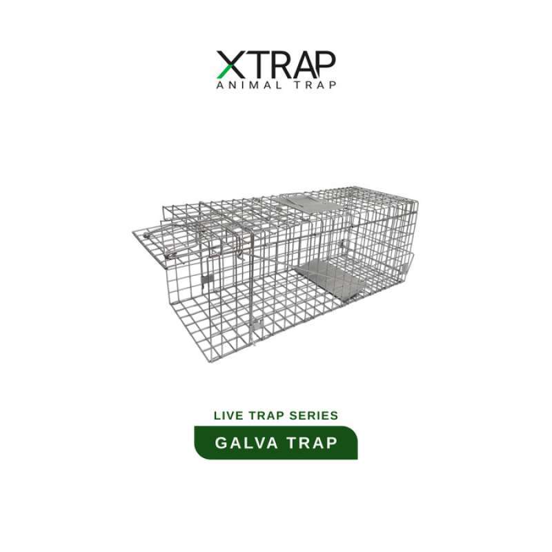 Jual Perangkap Kucing Liar Dan Musang Model Galva Trap Di Seller Suzuka ...