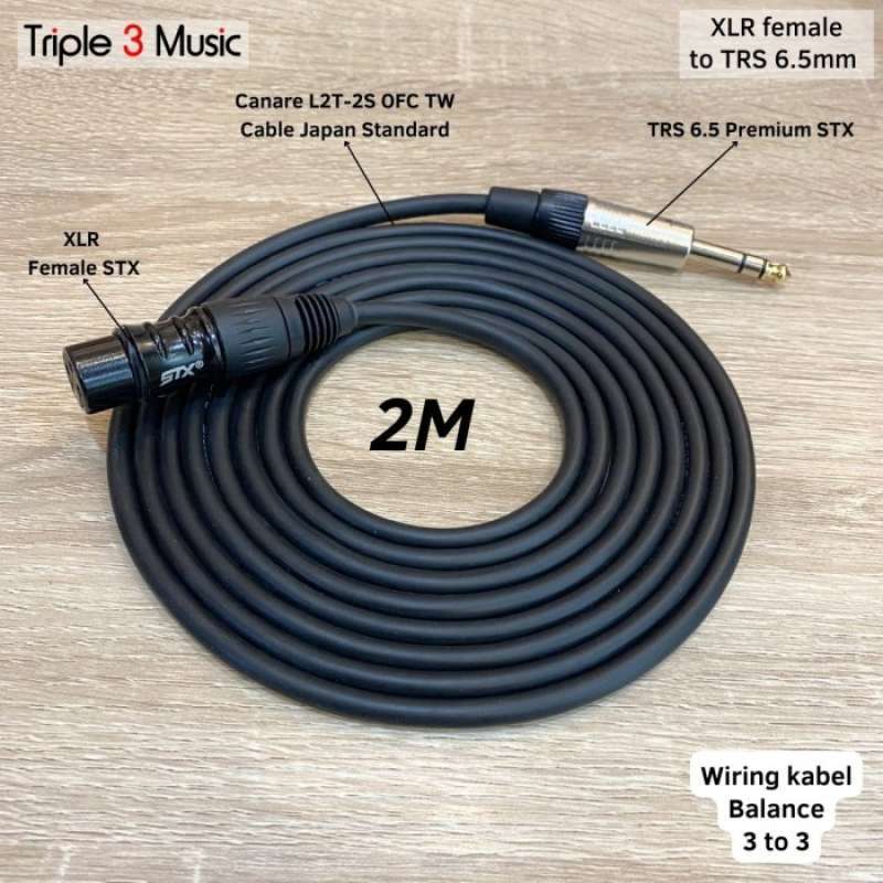 Promo Kabel 2m Xlr Female Canon To Trs 6.5 Akai Balance Canare L2t2s ...