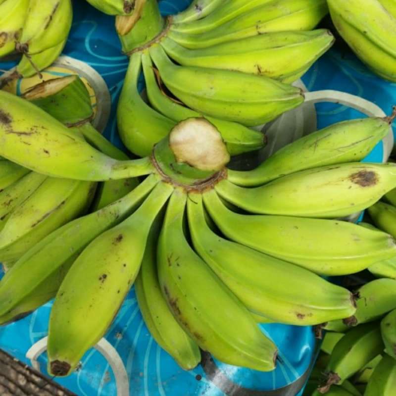Jual Pisang Batu Muda 1 Sisir Di Seller Pro-id - Cengkareng Timur, Kota ...