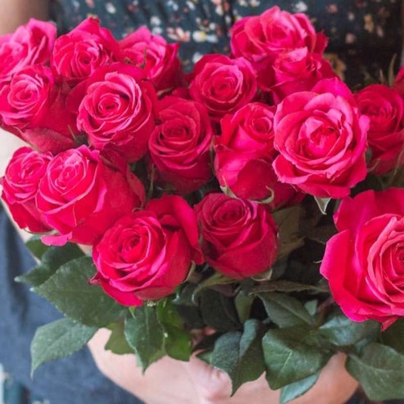 Promo Fresh Cherryo Fancy Roses/bunga Mawar Segar Warna Hot Pink Diskon ...