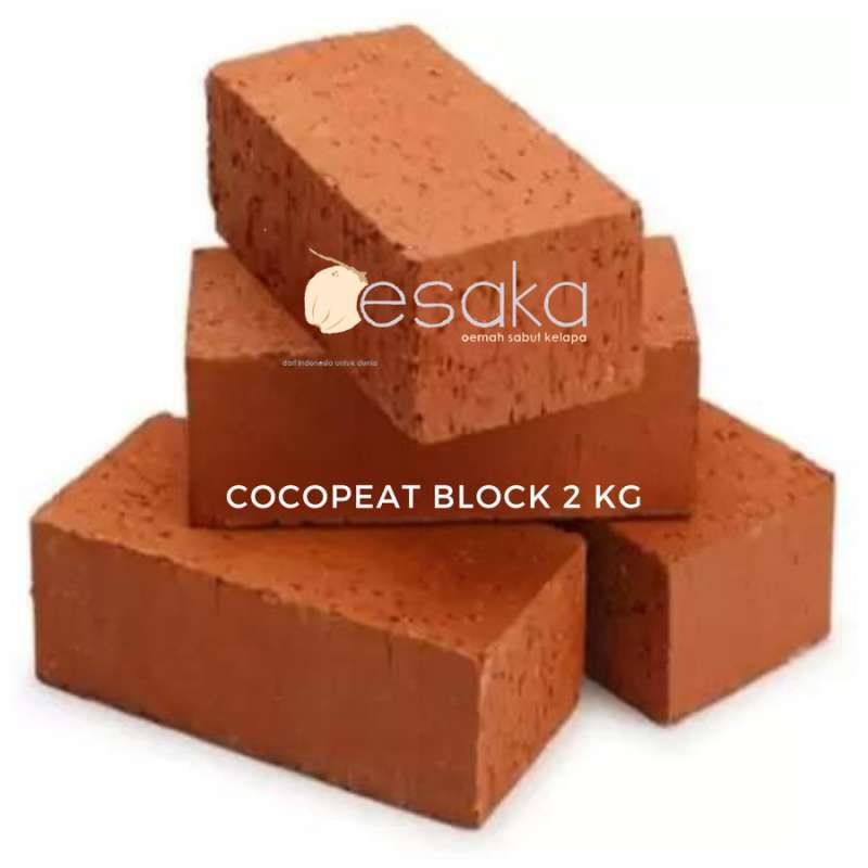 Jual Benih Microgreens 🔥 Harga Murah & Kualitas Terbaik September 2026