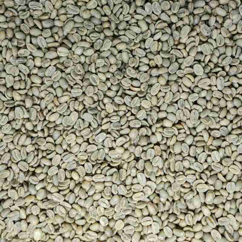 Jual Green Bean Arabika Java Ijen Full Wash Grade 1 - 1 Kg Di Seller ...