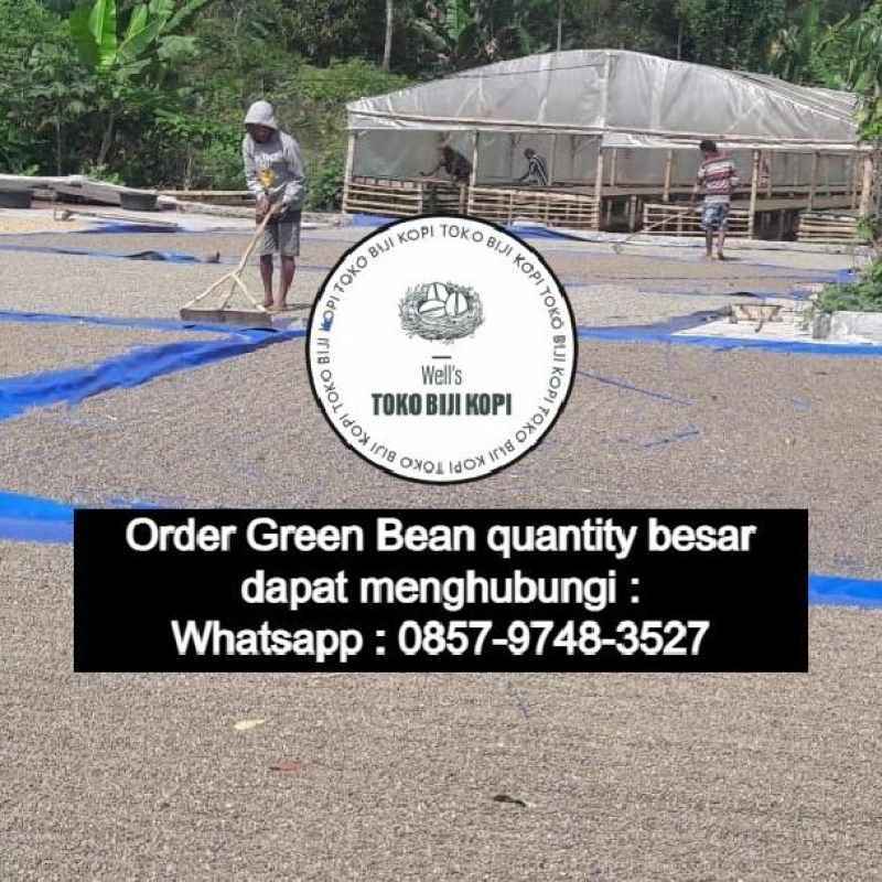 Jual Green Bean Arabika Java Ijen Full Wash Grade 1 - 1 Kg Di Seller Toko Biji Kopi By Wells ...