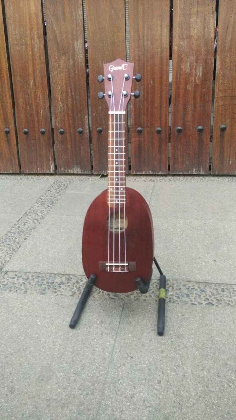 Promo Ukulele Okulele Bentuk Oval Nanas Hawai Pineapple Varian Warna ...