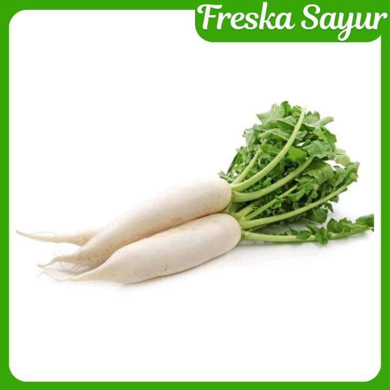 Baby Corn 1 Kg Gratis Ongkir 🏷️ Harga Murah Mei 2026