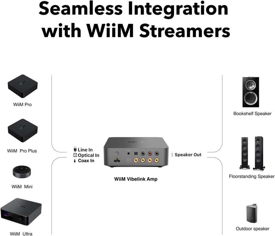 Jual Wiim Vibelink Amp Integrated Amplifier 100w Power Amplifier With ...
