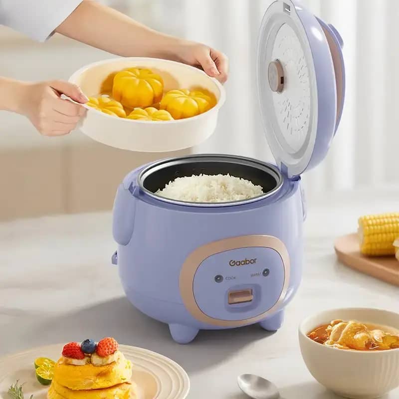 Promo Gaabor Rc-25m01a Mini Rice Cooker 1l Portable Low Watt 400w ...