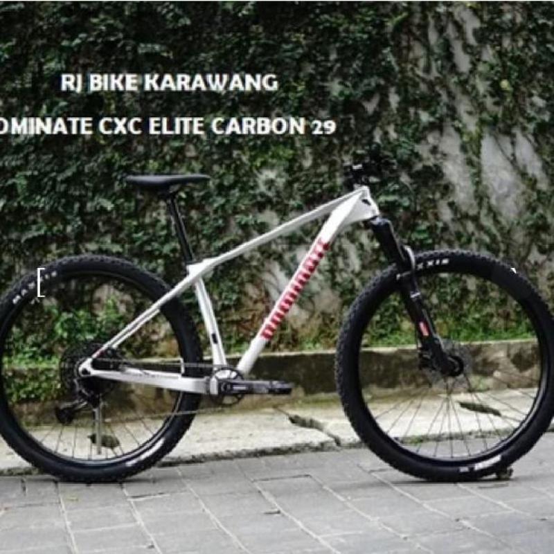 Jual Sepeda Gunung Dominate Cxc Elite Carbon 29 Inch Di Seller Rj Bike Karawang - Sukaharja, Kab ...