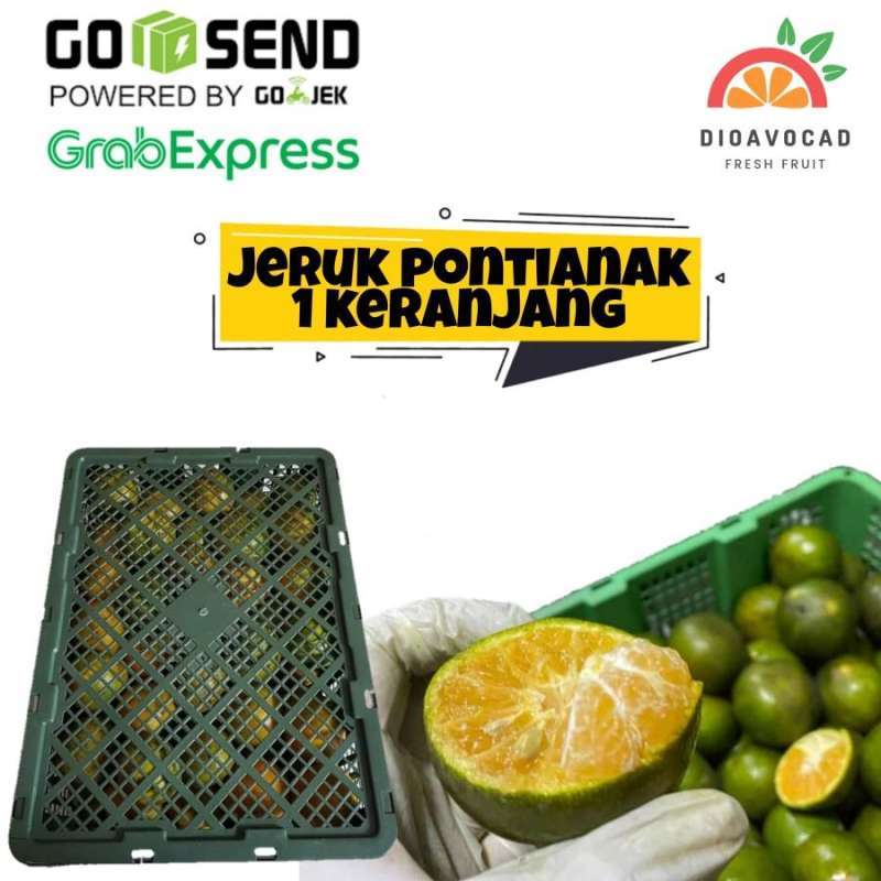 Jual Jeruk Pontianak Ab Termurah - Harga Grosir Terupdate Hari Ini | Blibli